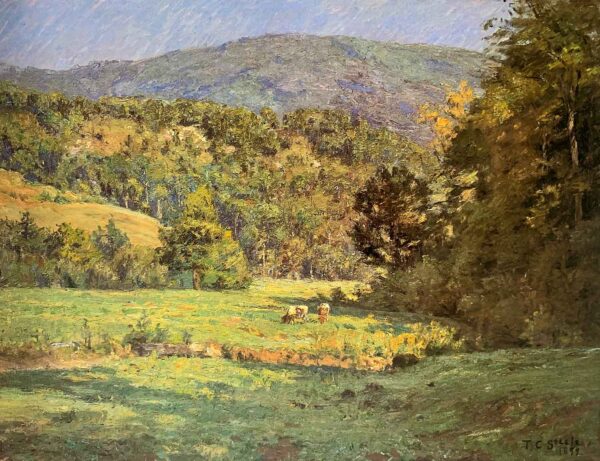 Roan Mountain – Friends of T.C. Steele