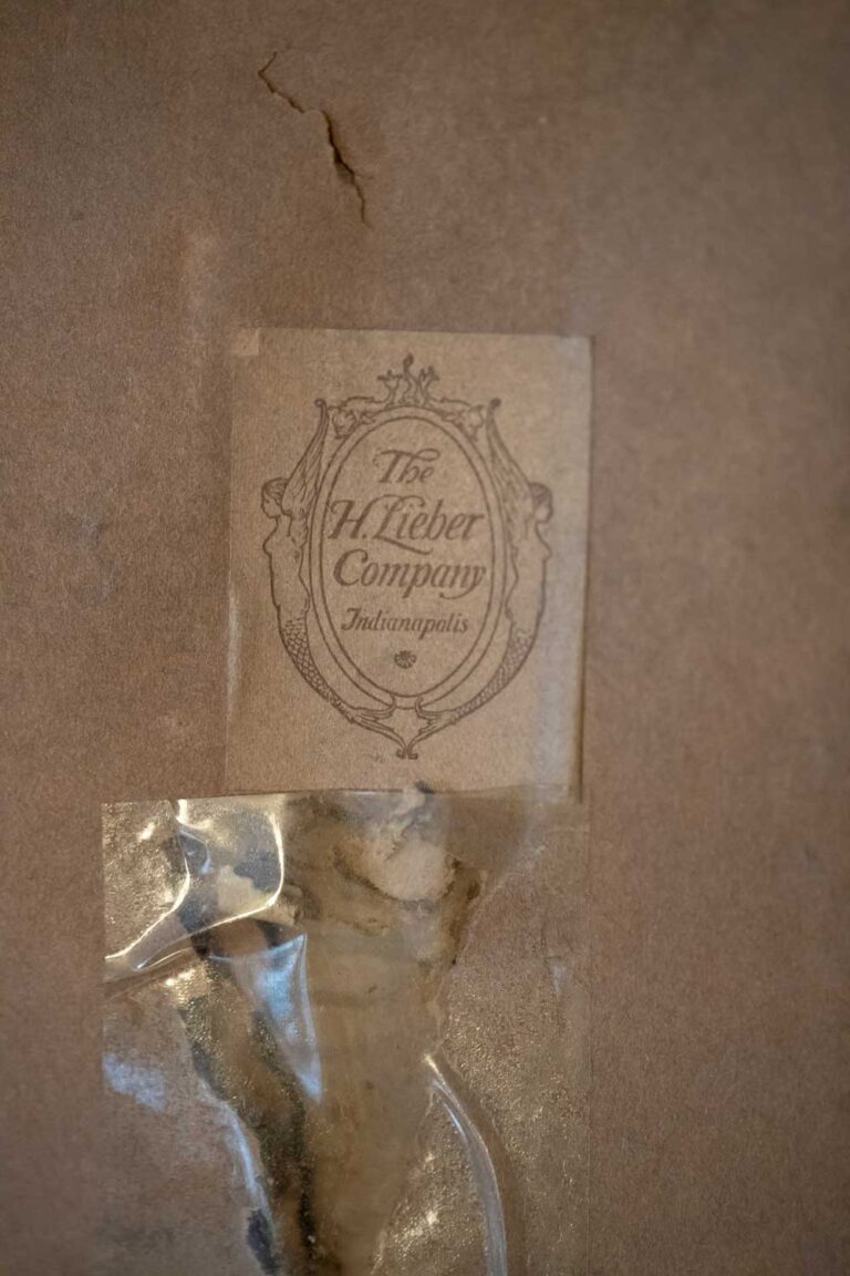 May Wright Sewall – Friends of T.C. Steele